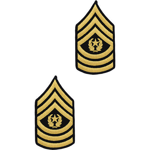 command sergeant major flag