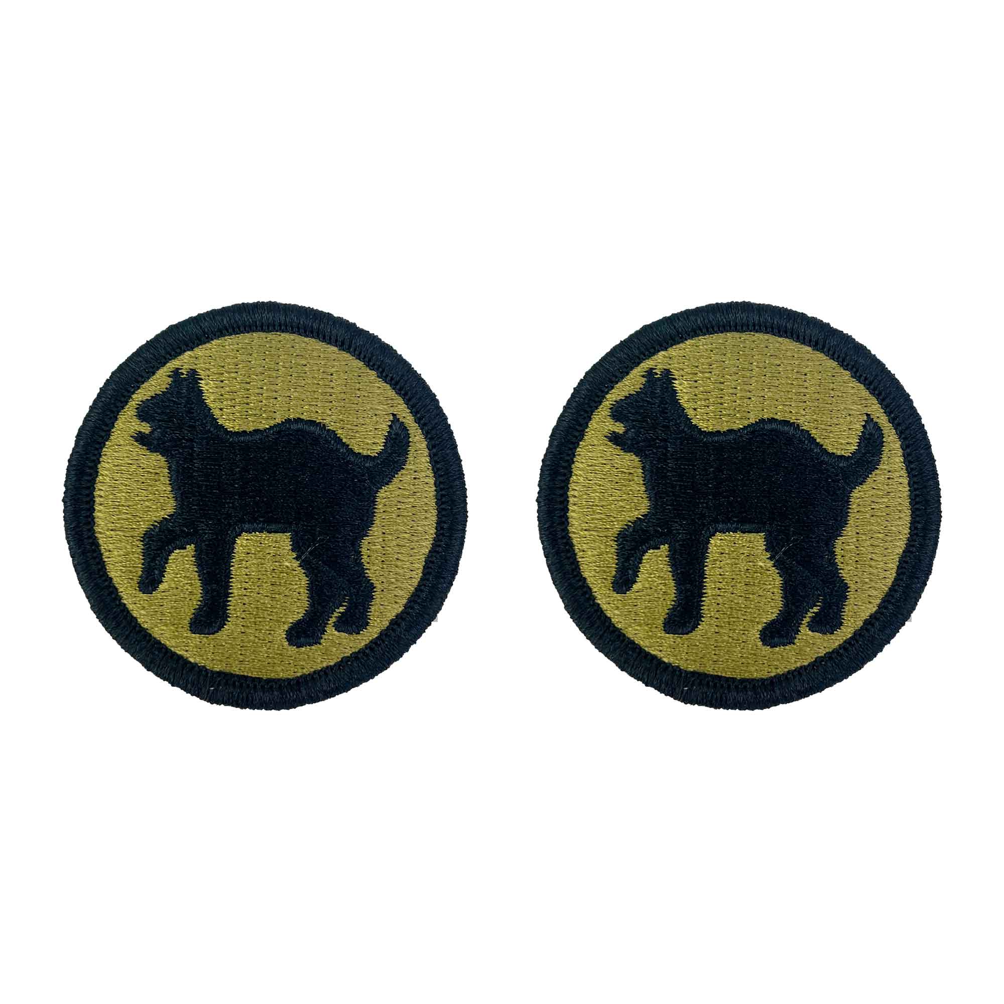 Army 81st Regional Support Command OCP Embroidered Patch