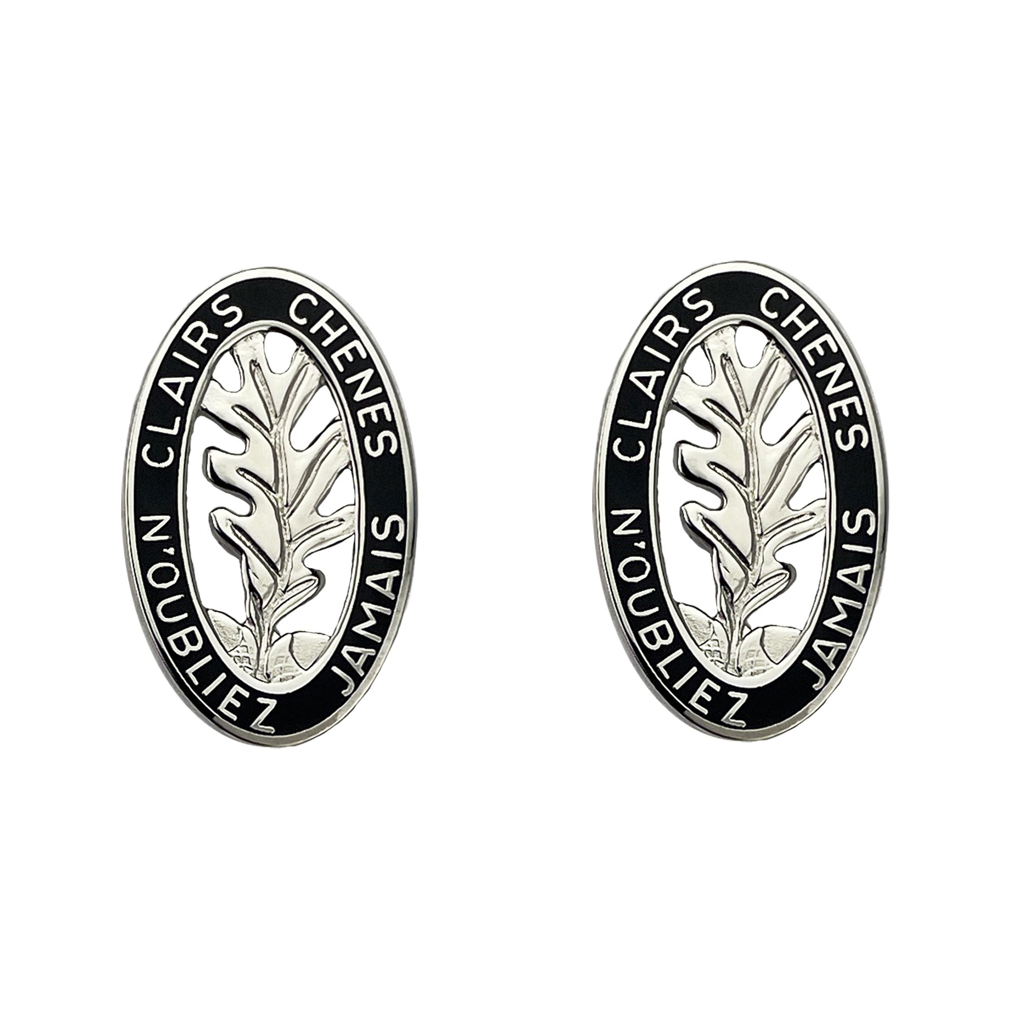 Army 6th Engineer Battalion Crest