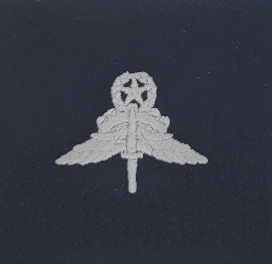 Civil Air Patrol AF Master Freefall Jump Cloth Insignia