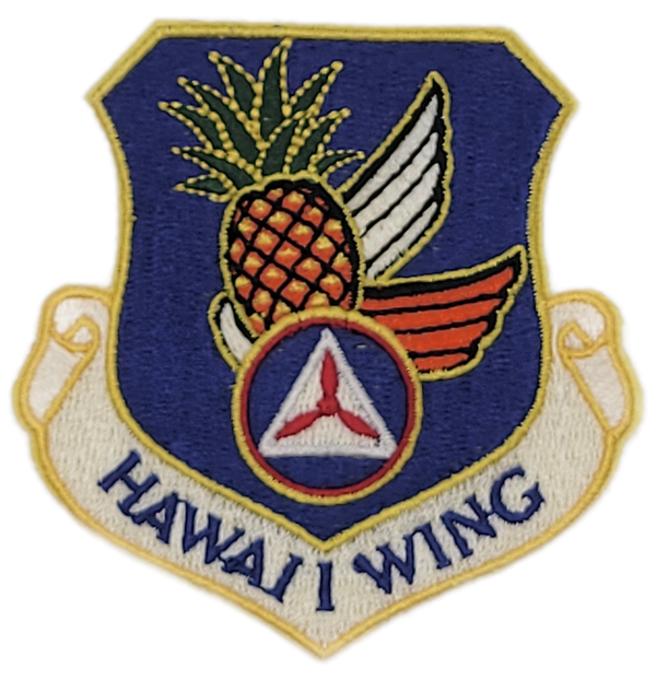 Wing & Region Patches With Hook