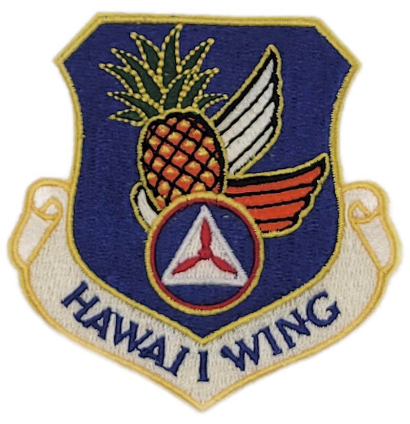 Wing & Region Patches