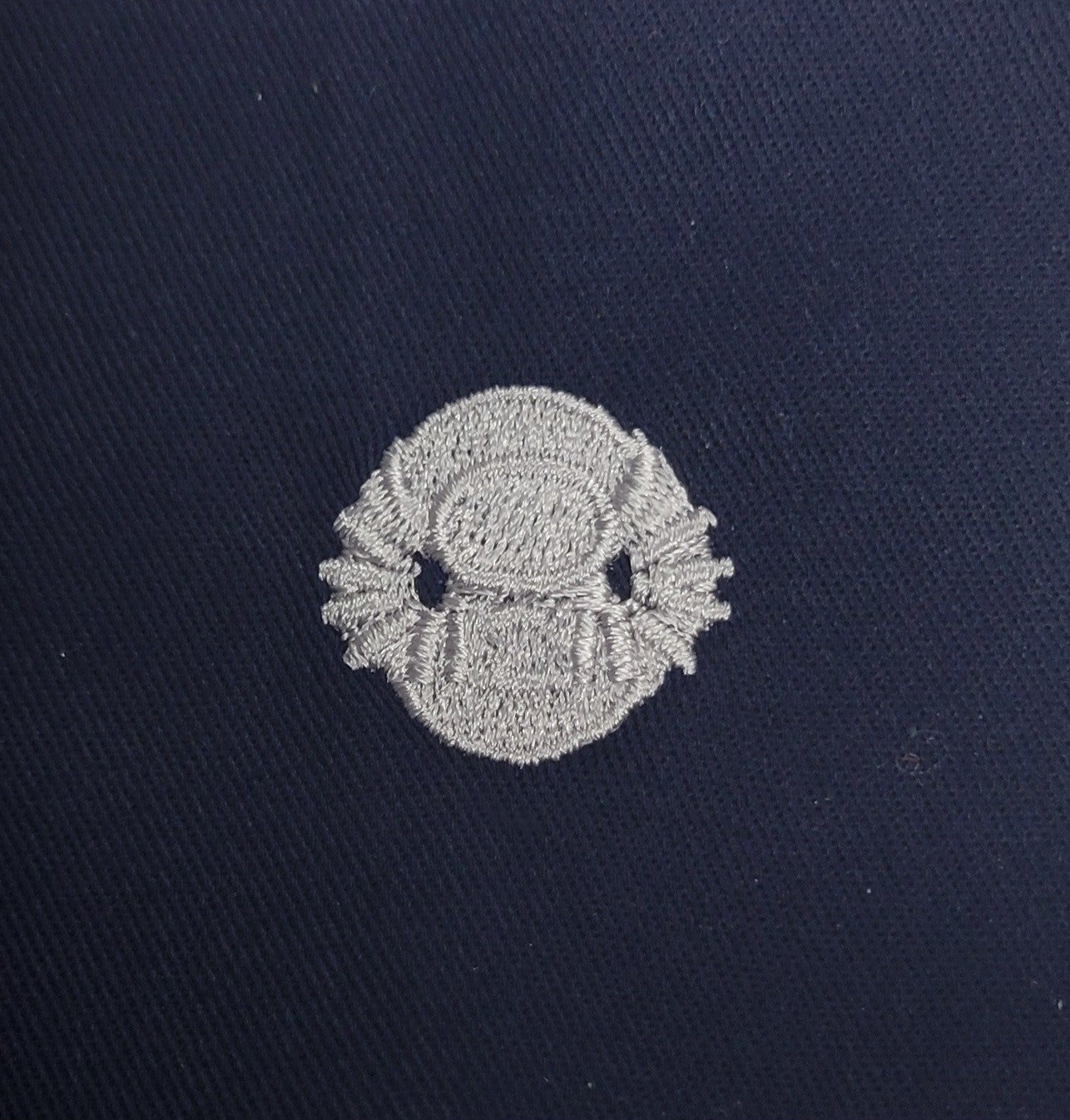 Civil Air Patrol N Scuba Diver Cloth Insignia