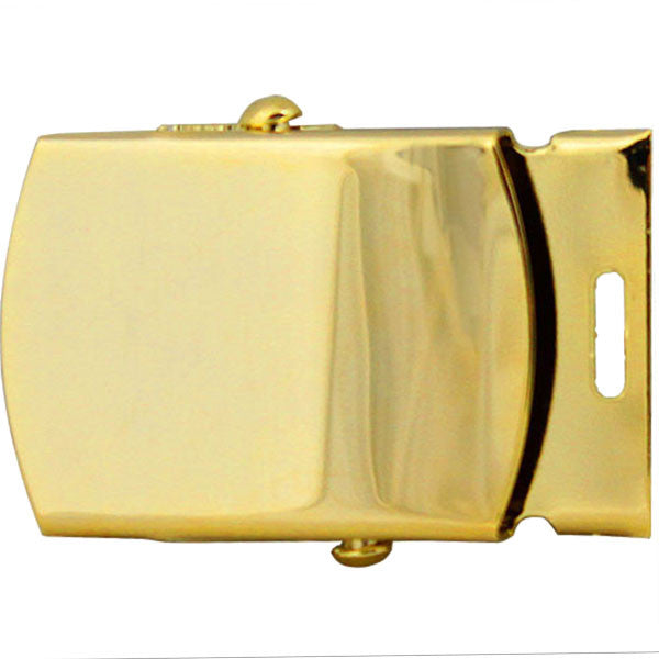Gold Belt Buckle and Tip