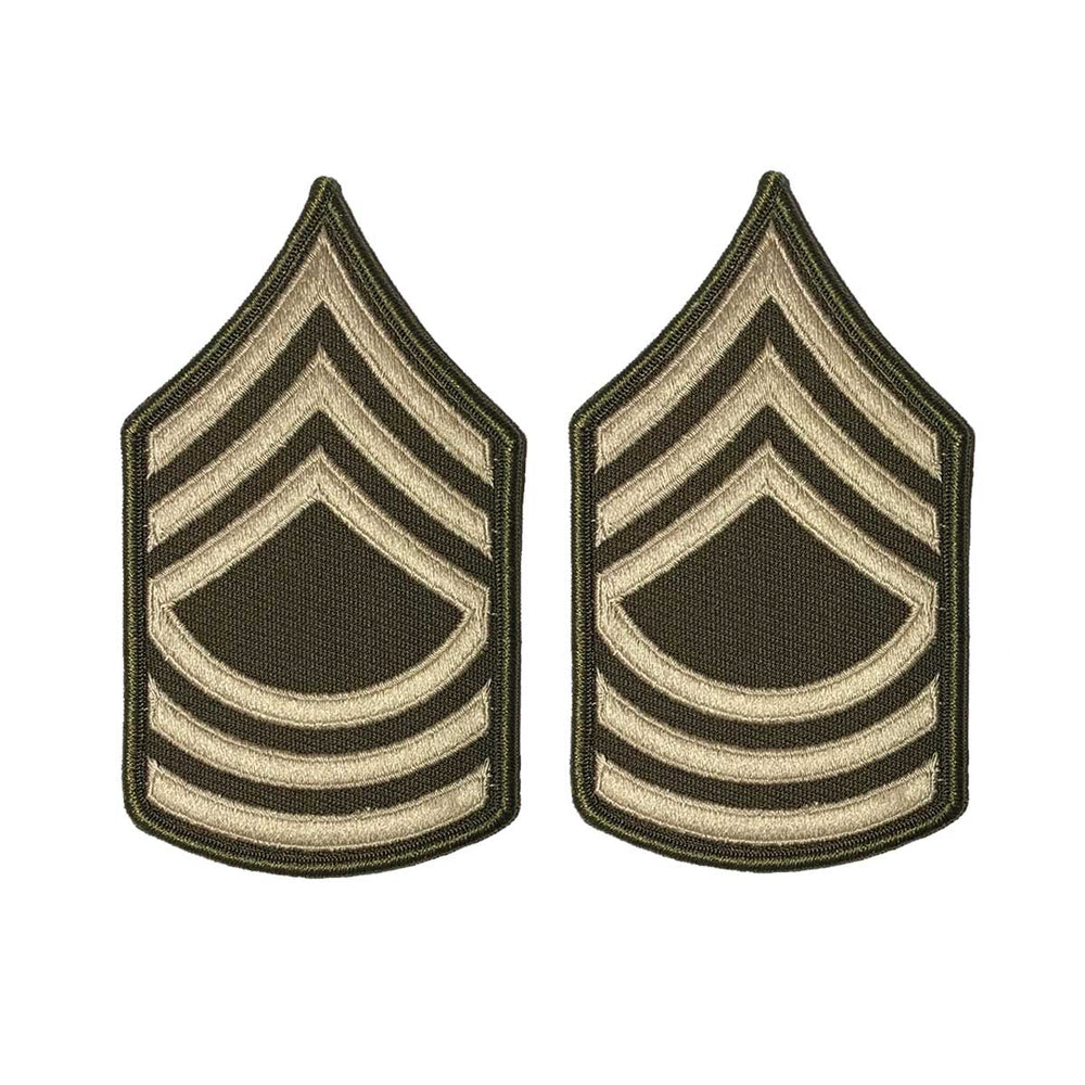 AGSU Enlisted Rank
