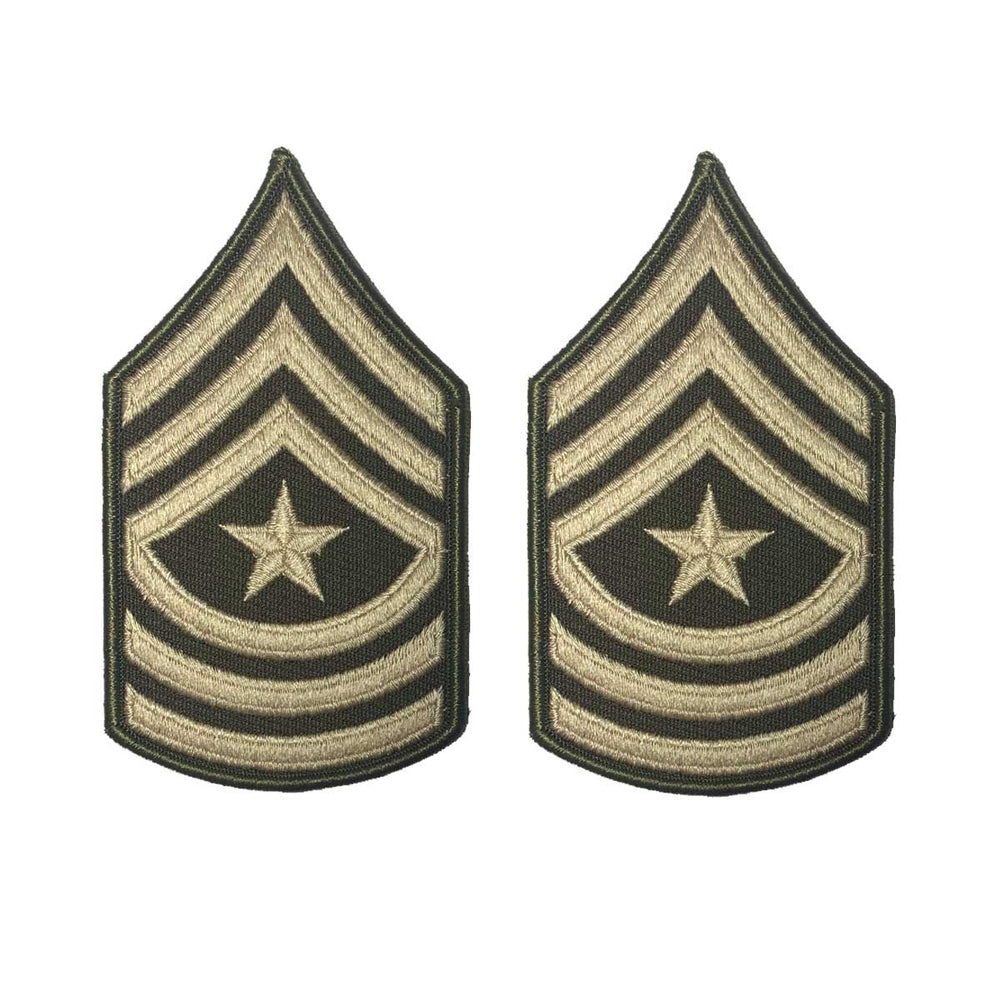 AGSU Enlisted Rank