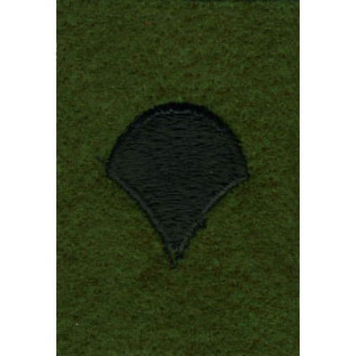 Army Leadership Tabs