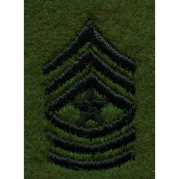 Army Sergeant Major Leadership Rank Tab