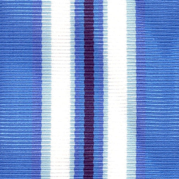 USN Arctic Service Ribbon Yardage – Vanguard Industries