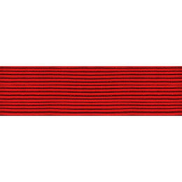 Civil Air Patrol Senior and Cadet IACE Ribbon